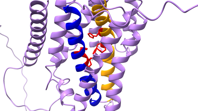 Understanding the shape of life
